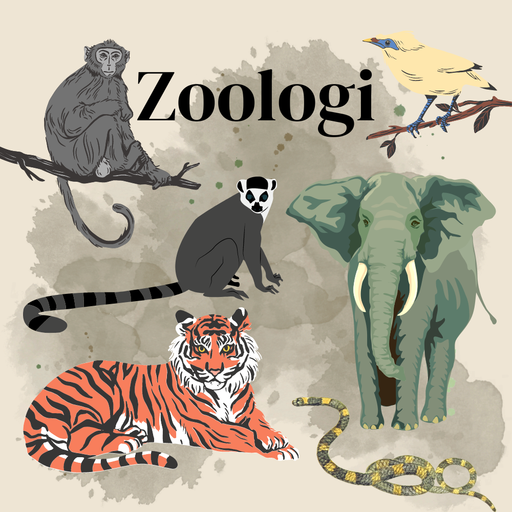 Zoologi - Detak Bumi