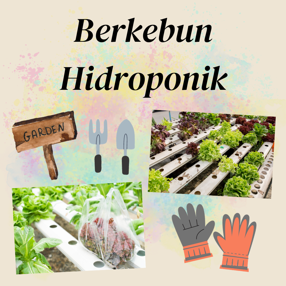 Berkebun Hidroponik di Rumah - Detak Bumi